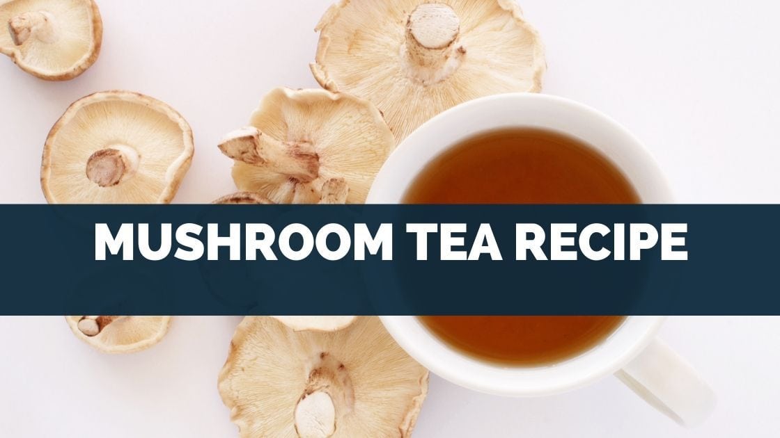 How To Make Magic Mushroom Tea? (HOW To Guide)